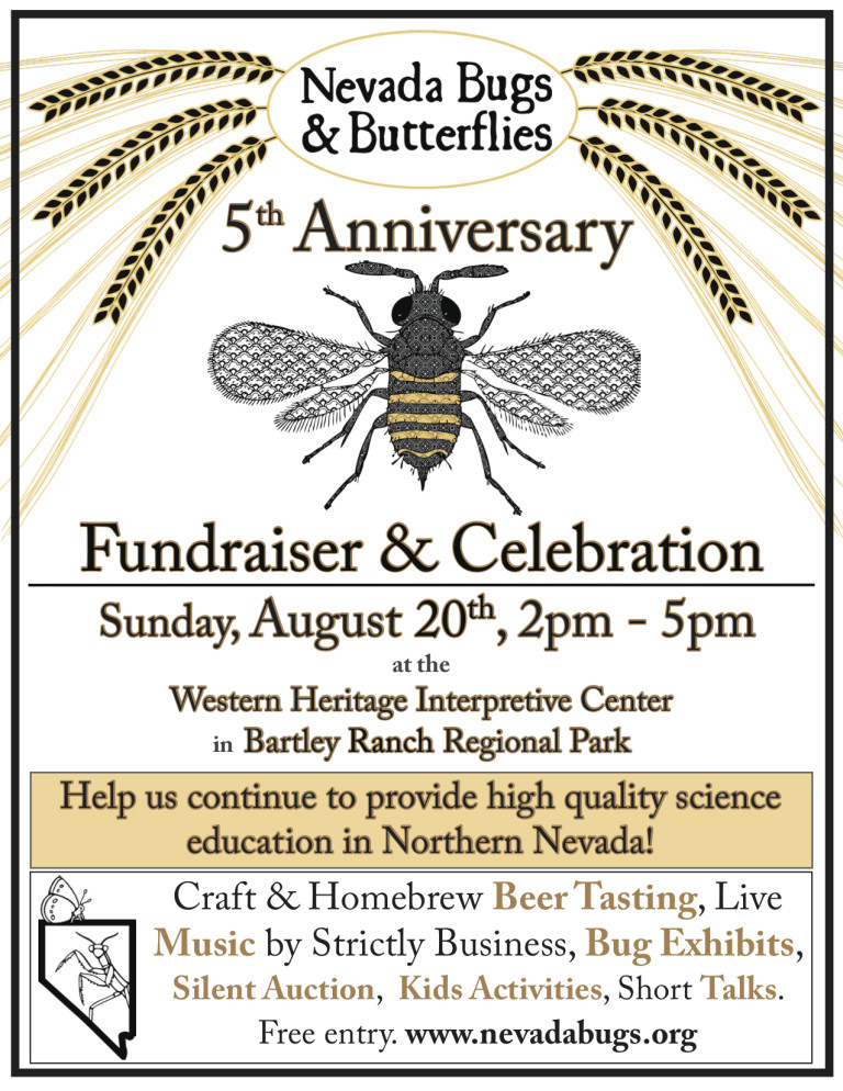 Nevada Bugs and Butterflies | Bugs, butterflies, and love of the ...